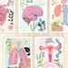 Science Wall Prints, Human Anatomy Paintings, Watercolor Print, High ...