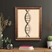 DNA Strand Wall Art Classroom Decor Science Poster High School - Etsy