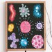Microbe Collection Bacteria Virus Wall Art Laboratory Art Science Art ...