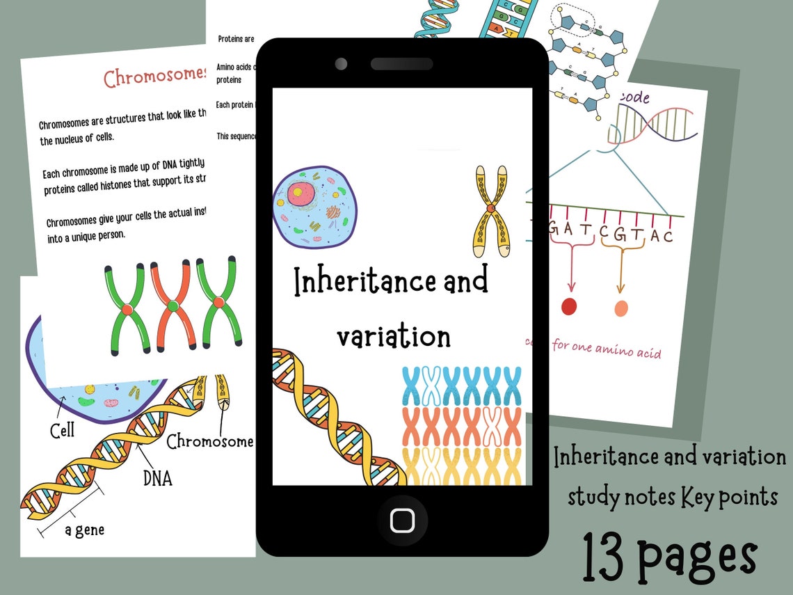 Biology Notes (inheritance and Variation), Middle School Science, High ...