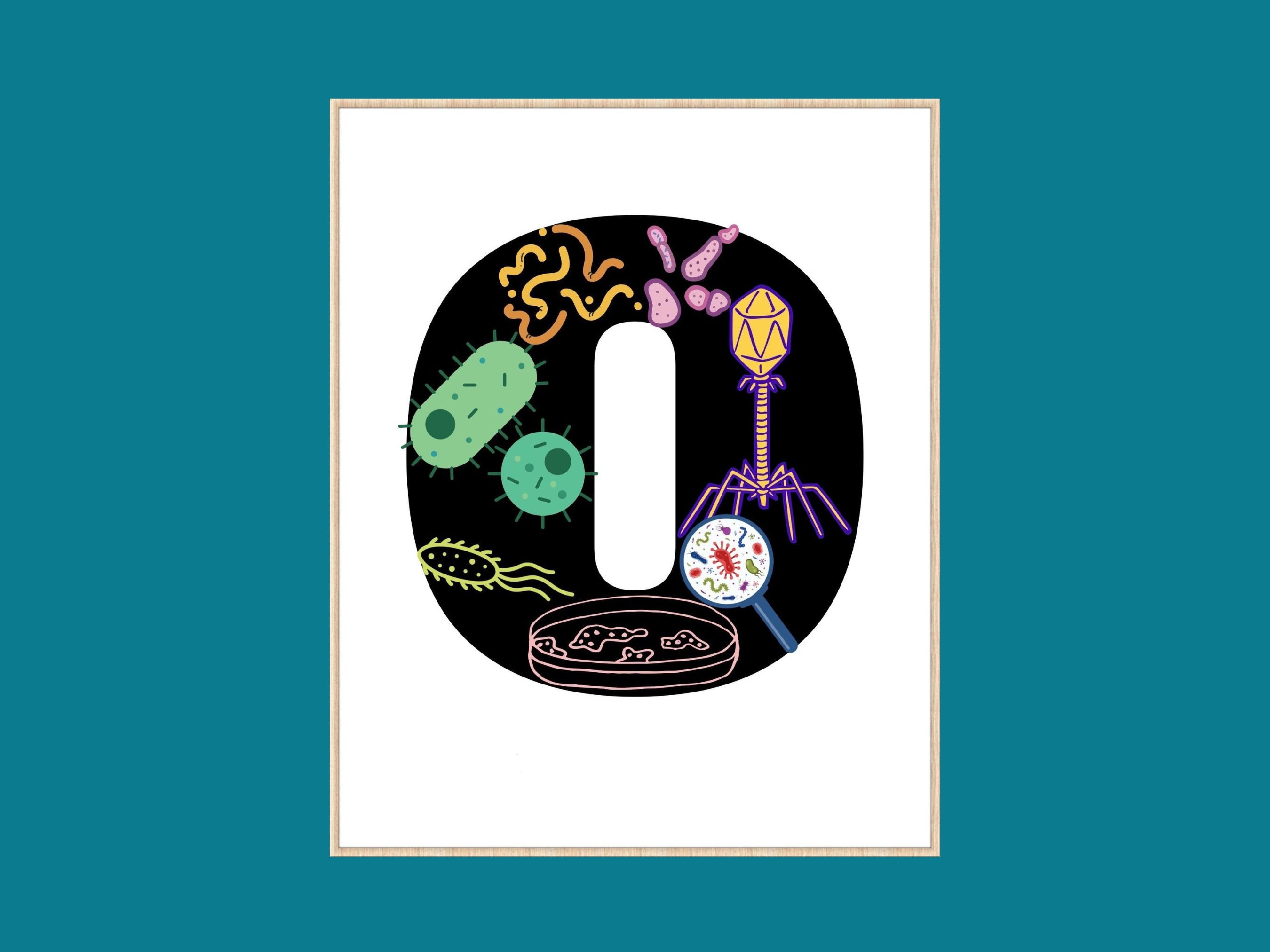 Biology Posters, Classroom Decor, High School Middle School, Science ...