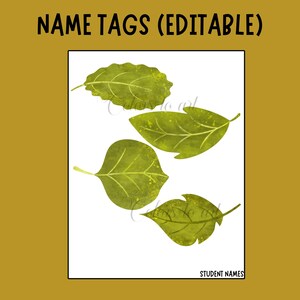 New Years Bulletin Board Kit 2025 New Year Classroom Decor January ...