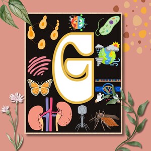 Biology Art Poster Biology Gift Science Poster Biologist Gift ...