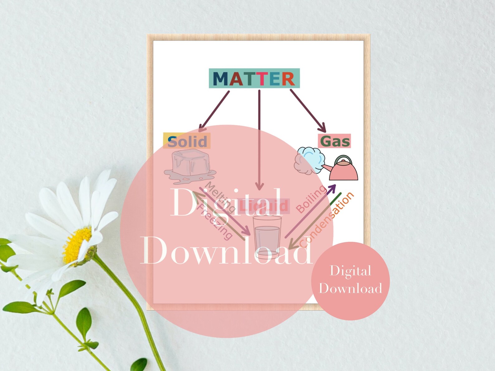 5 Science CLASSROOM POSTERS Chemistry Printable Science - Etsy