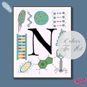 Science Classroom Posters Science Wall Prints Chemistry Biology Physics ...