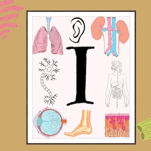 Biology Class Gallery Wall, Classroom Decor, High School Middle School ...