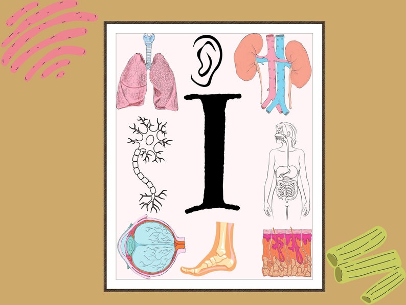 Biology Class Gallery Wall, Classroom Decor, High School Middle School ...