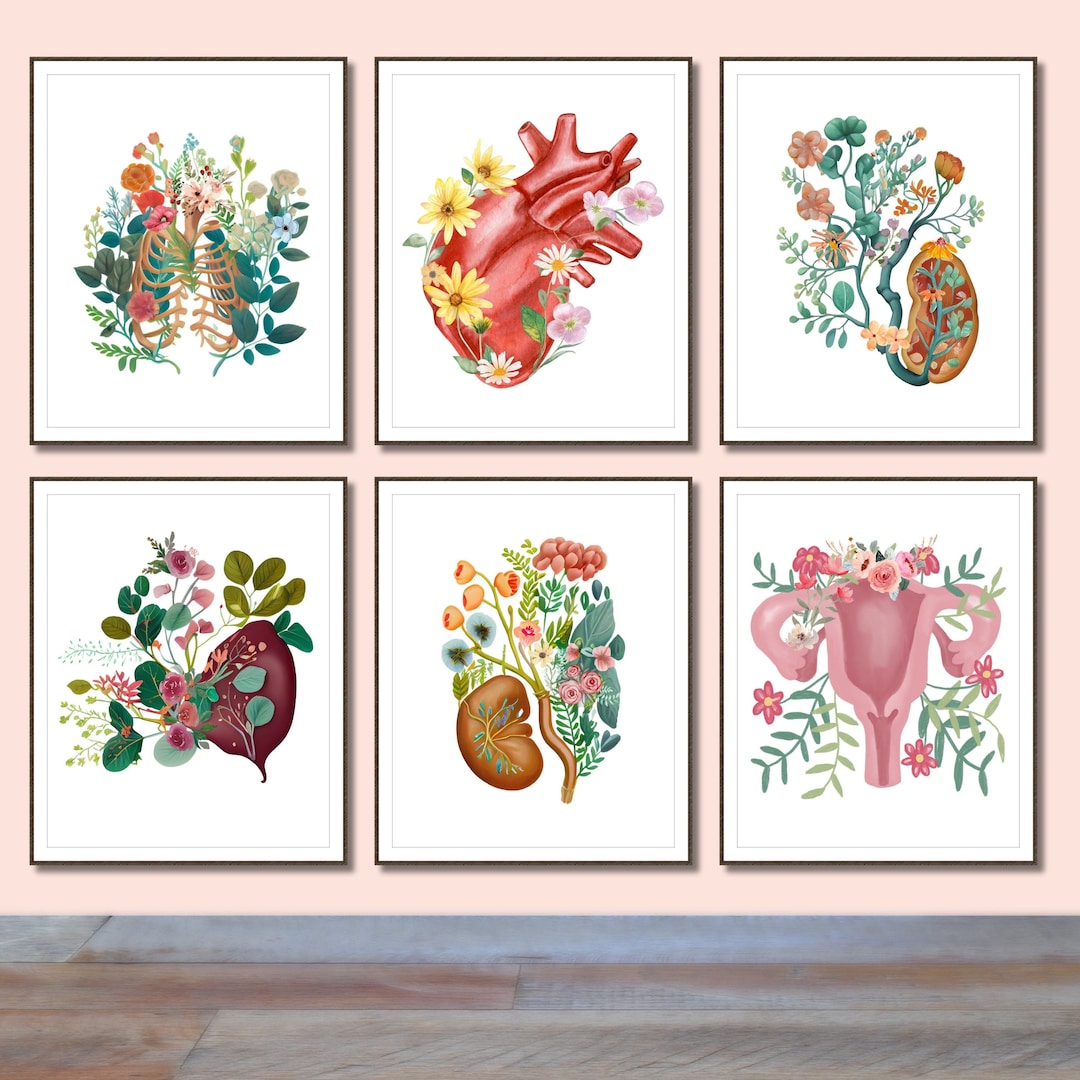Human Anatomy Art Prints Anatomy Poster Clinic Decor Medical Wall ...