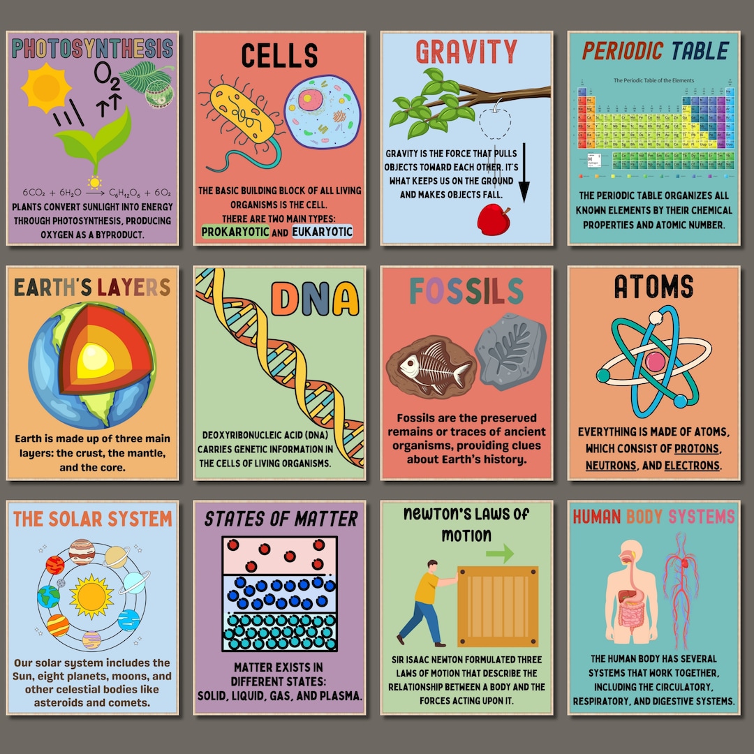 Science Class Posters Set of 12 Middle School Science Posters High ...