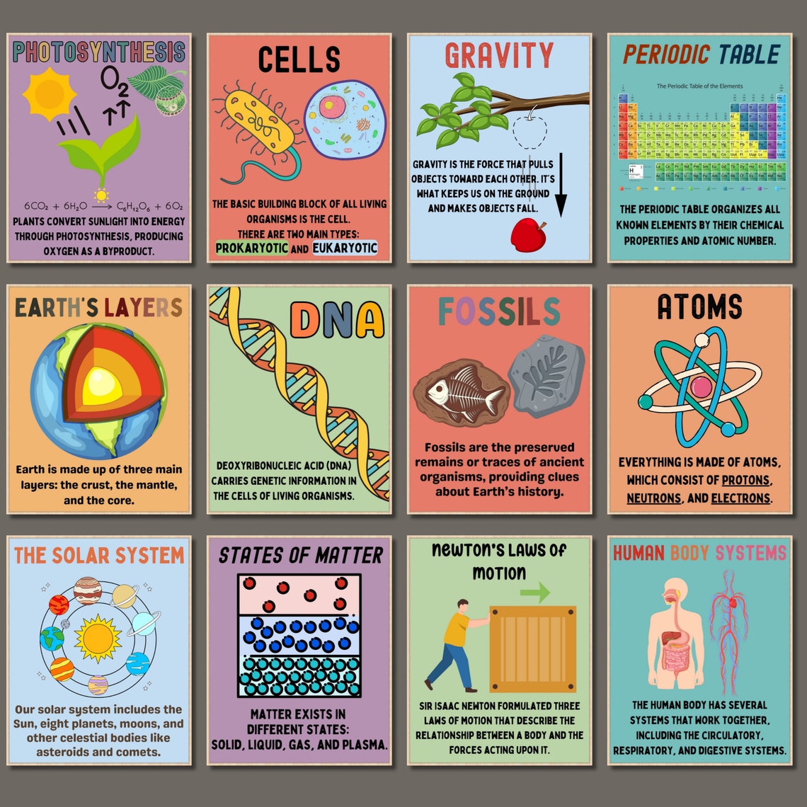 Science Class Posters Set of 12 Middle School Science Posters High ...