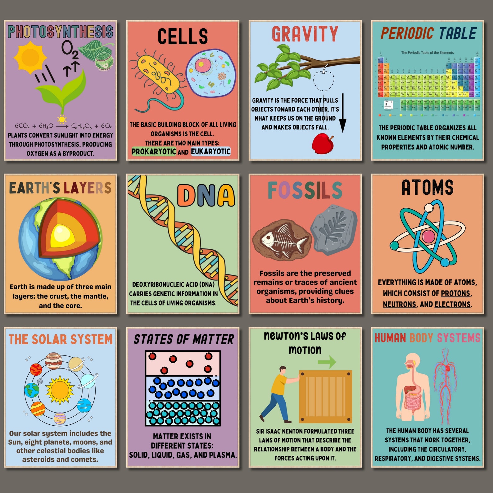 Science Class Posters Set of 12 Middle School Science Posters High ...
