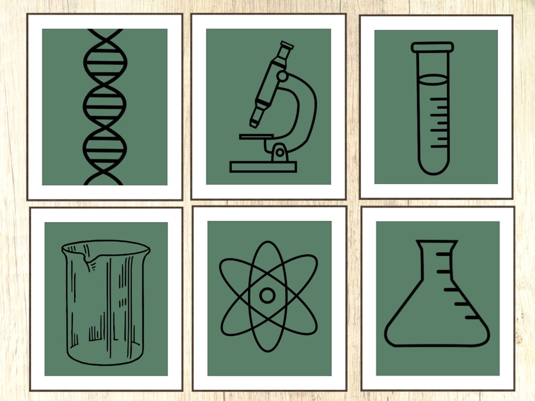 Science Class Gallery Wall, Classroom Decor, High School Middle School ...