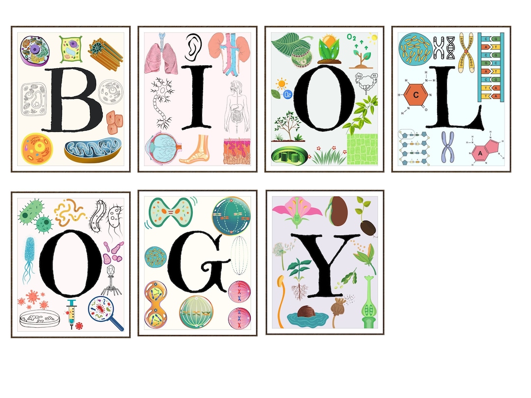 Biology Class Gallery Wall, Classroom Decor, High School Middle School ...