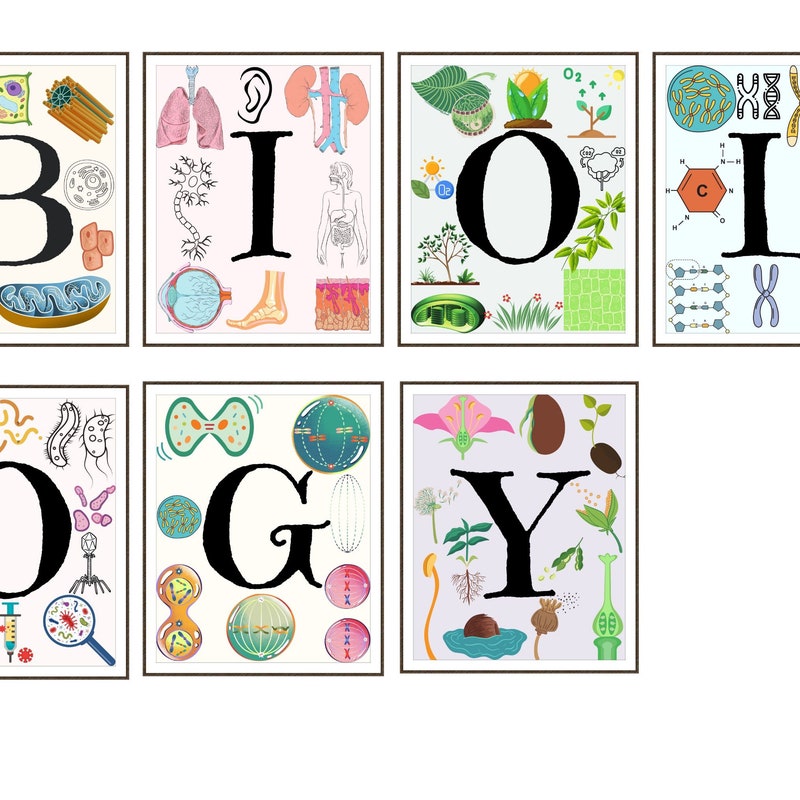 Classroom Biology Posters - Etsy