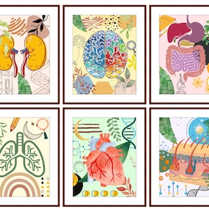 Human Anatomy Paintings, Classroom Arts, High School, Middle School ...