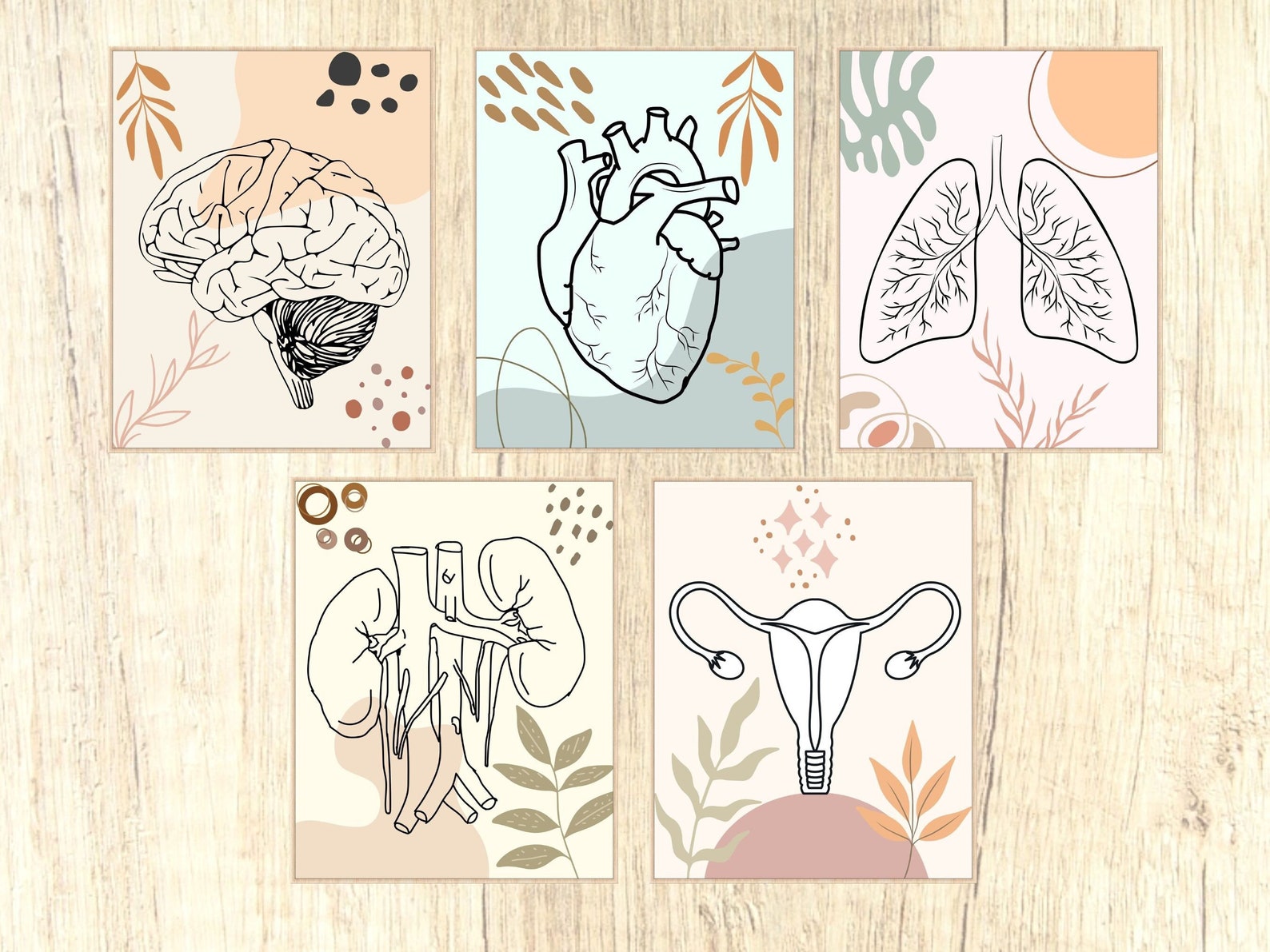 Science Wall Prints Human Anatomy Paintings Boho Watercolor - Etsy