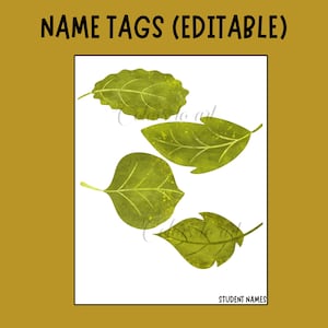 Plant Bulletin Board Kit Boho Neutral Plant Classroom Decor SPRING ...