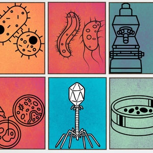 Microbiology Collection, Bacteria Art, Science, Science Art ...