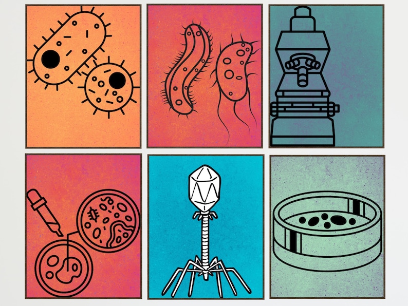 Microbiology Collection Bacteria Art Science Science Art - Etsy