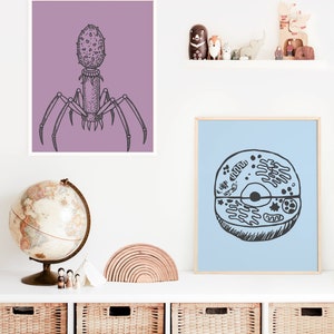 Science Classroom Poster Set Science Student Gift Biology Art Print ...