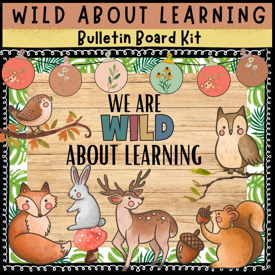 Wild About Learning Bulletin Board Kit Back to School Pre School Decor ...