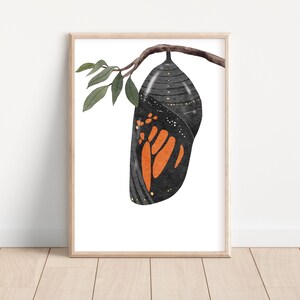 Life Cycle of a Butterfly Digital Download Caterpillar Butterfly Poster ...