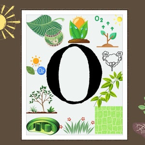 Biology Class Gallery Wall, Classroom Decor, High School Middle School ...