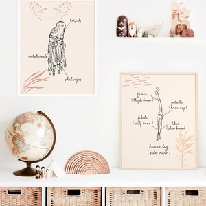 Human Anatomy Art Prints Science Posters Classroom Decor Orthopedist ...