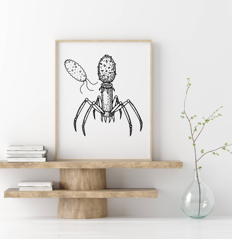 Microbiology Poster Bacteria Art Biology Student Gift Microbiologist ...