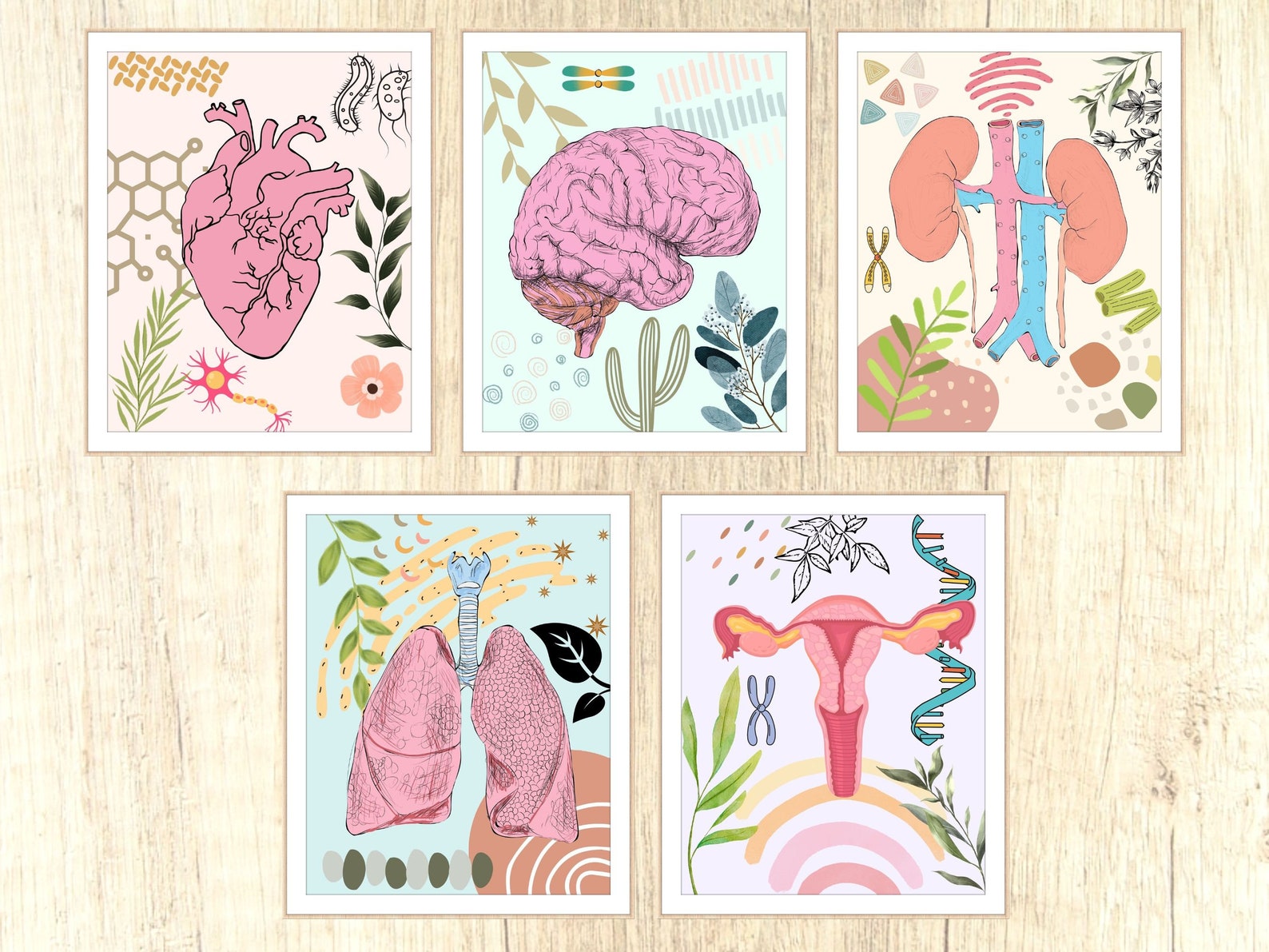 Science Wall Prints Human Anatomy Paintings Watercolor - Etsy