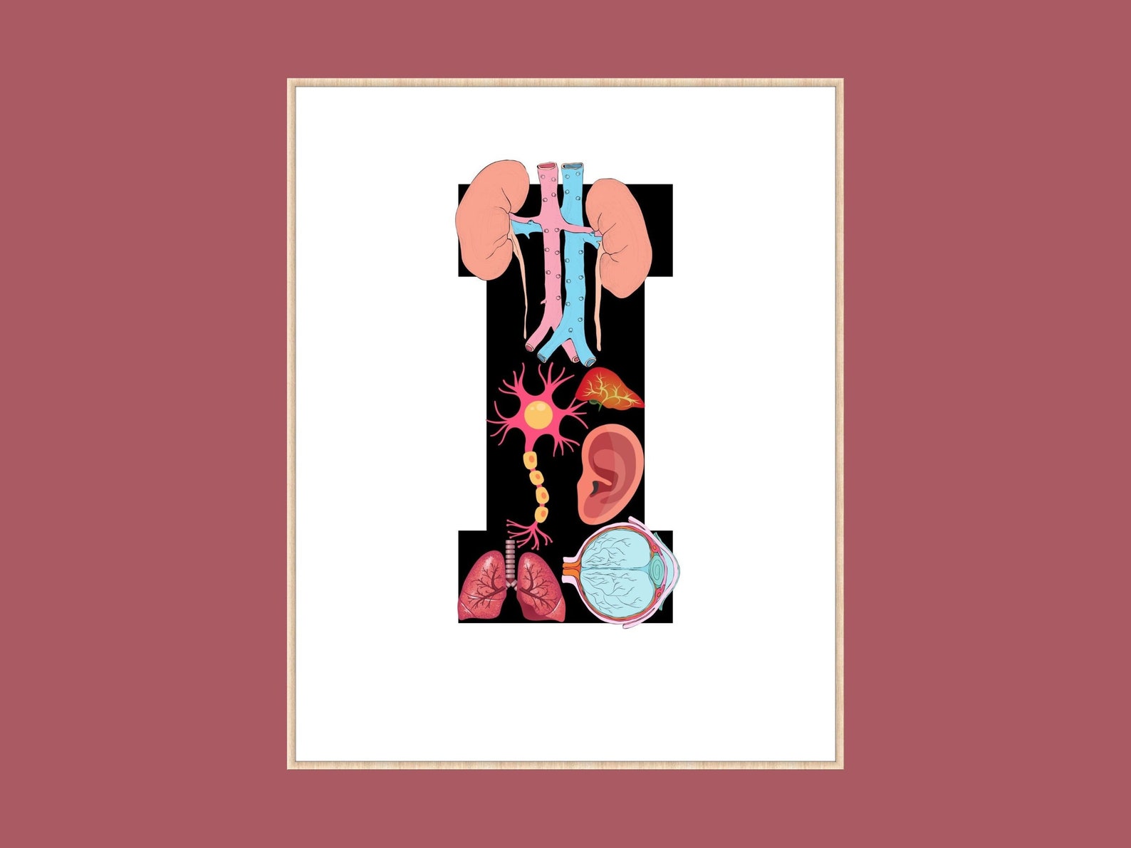 Biology Posters, Classroom Decor, High School Middle School, Science ...