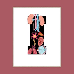 Biology Posters, Classroom Decor, High School Middle School, Science ...