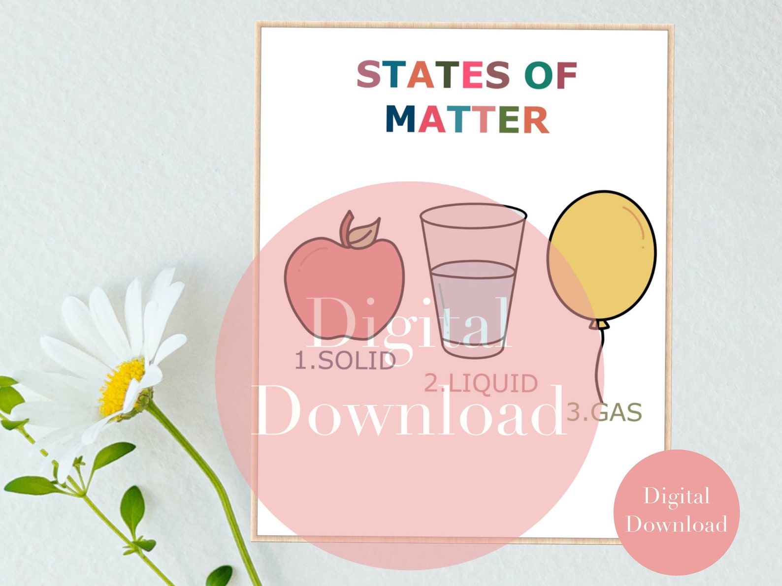 States of Matter Digital Printable Poster for Kindergarten - Etsy