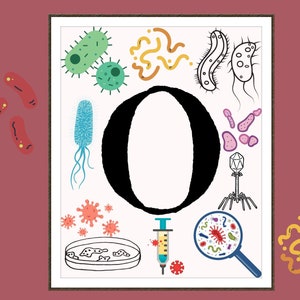 Biology Class Gallery Wall, Classroom Decor, High School Middle School ...