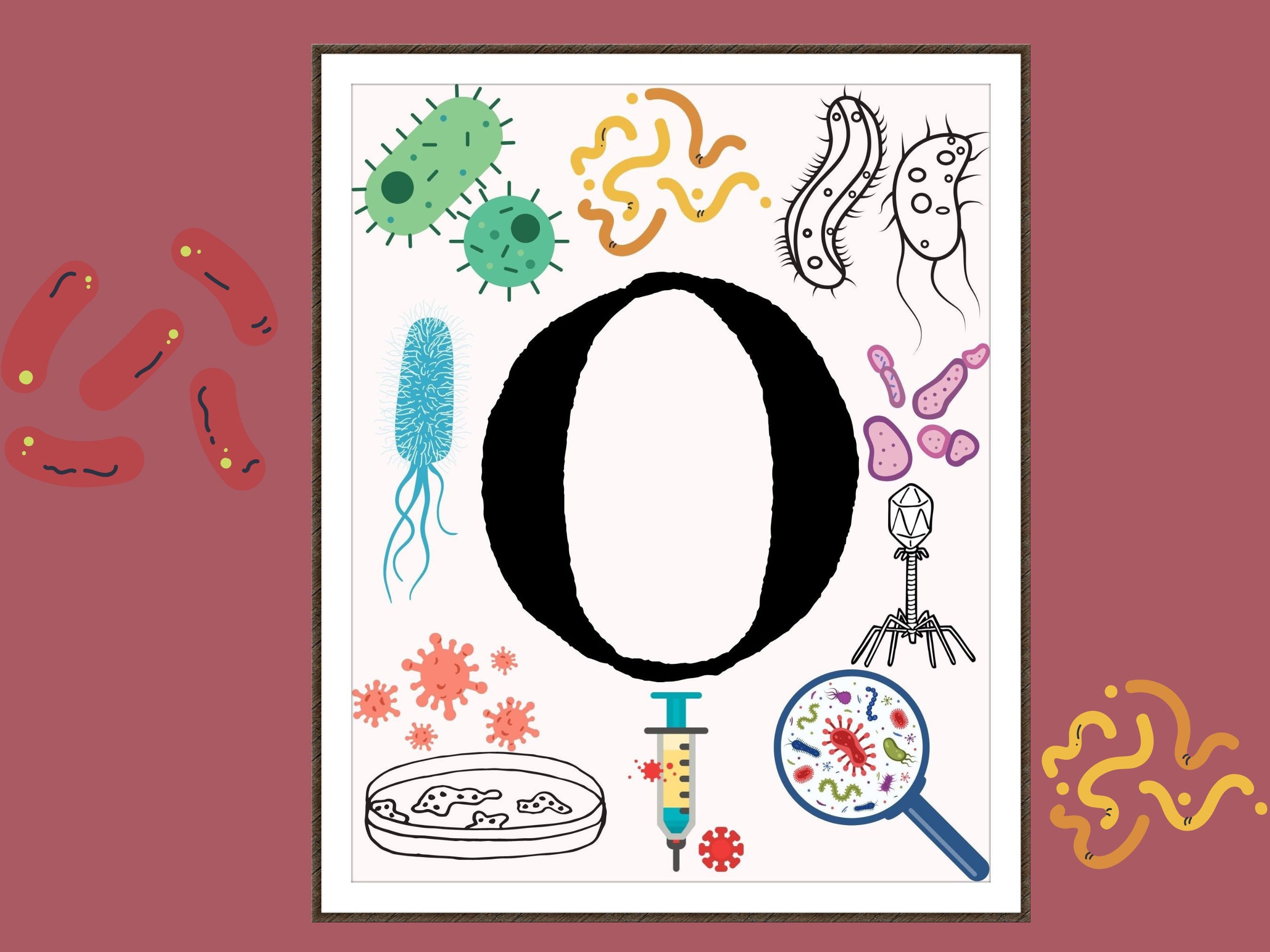 Biology Class Gallery Wall, Classroom Decor, High School Middle School ...