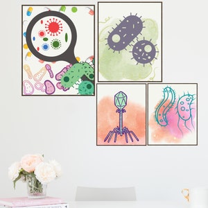 Science Classroom Decor, Microbiology Wall Arts, Science Posters ...