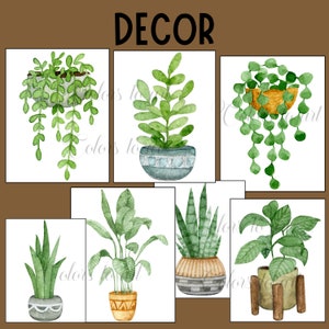 Be-leaf in Yourself Plant Bulletin Board Kit Boho Neutral Plant ...