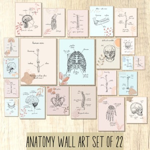 Human Anatomy Art Prints Science Posters Classroom Decor Orthopedist ...