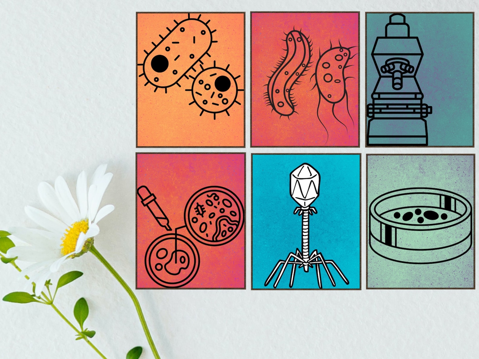 Microbiology Collection Bacteria Art Science Science Art - Etsy