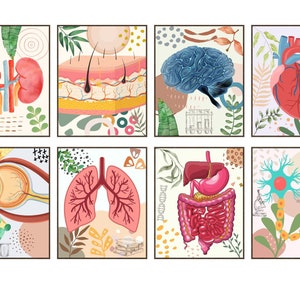 Science Wall Print, Human Anatomy Paintings, Classroom Arts, High ...