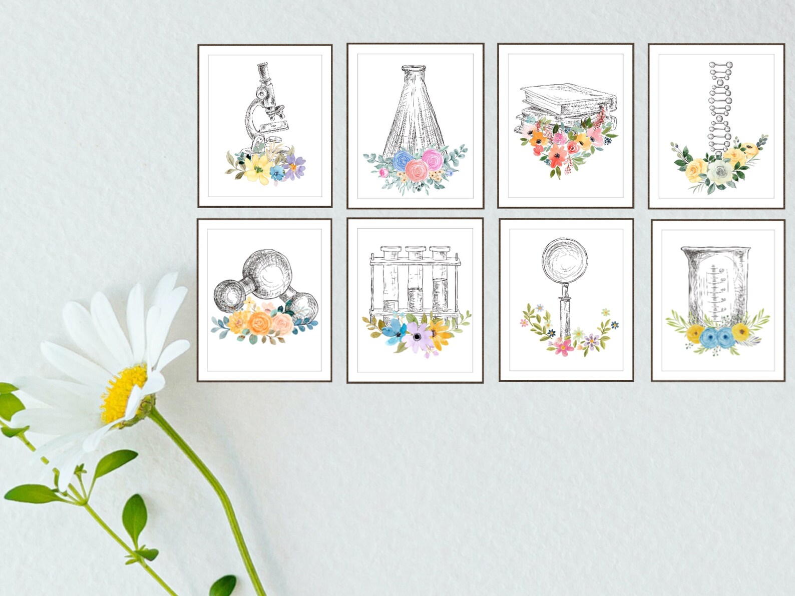 Science Class Gallery Wall, Classroom Decor, High School Middle School ...