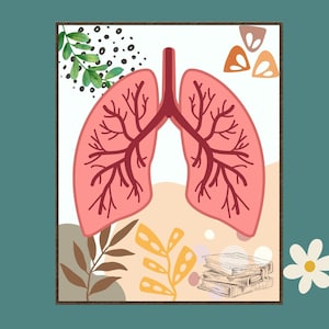 Science Wall Print, Human Anatomy Paintings, Classroom Arts, High ...