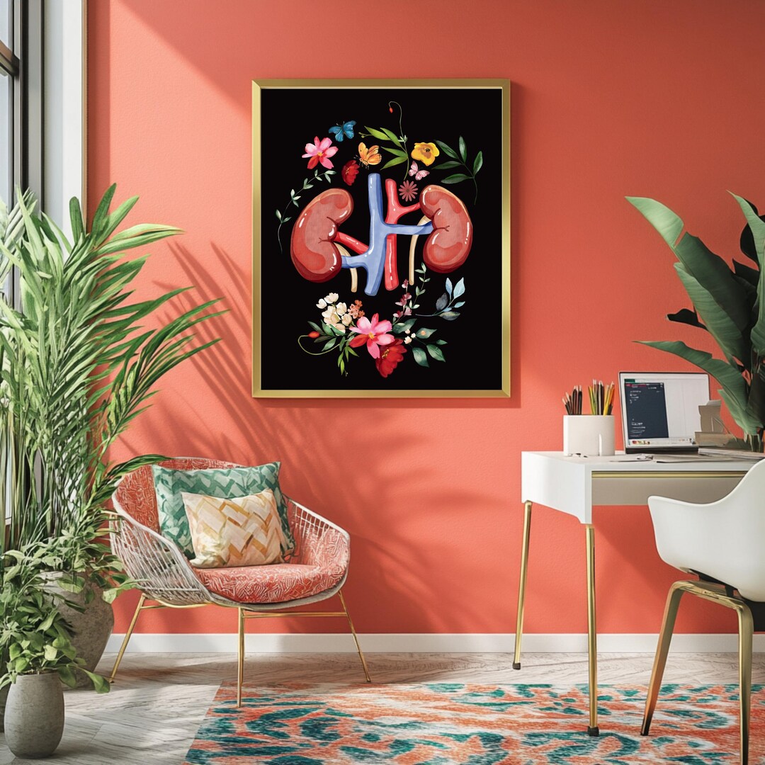 Human Anatomy Kidney Print Medical Student Gift Office Room Decor ...
