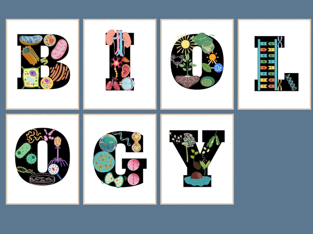 Biology Posters, Classroom Decor, High School Middle School, Science ...
