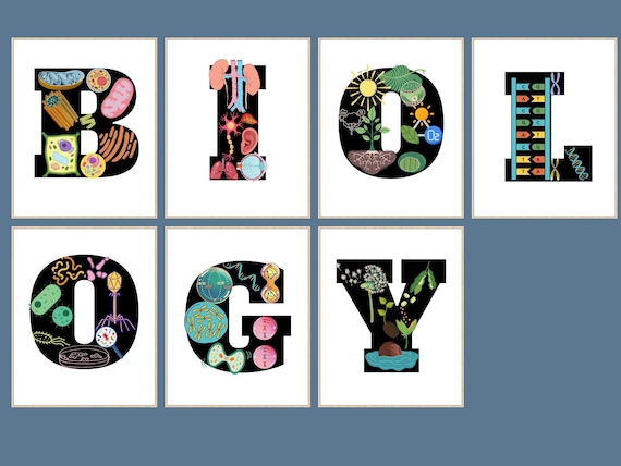 Biology Classroom Posters Poster Approaches Evaluation Of