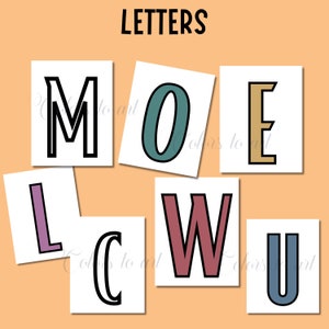 Jungle Back to School Bulletin Board Kit Classroom Decoration August ...