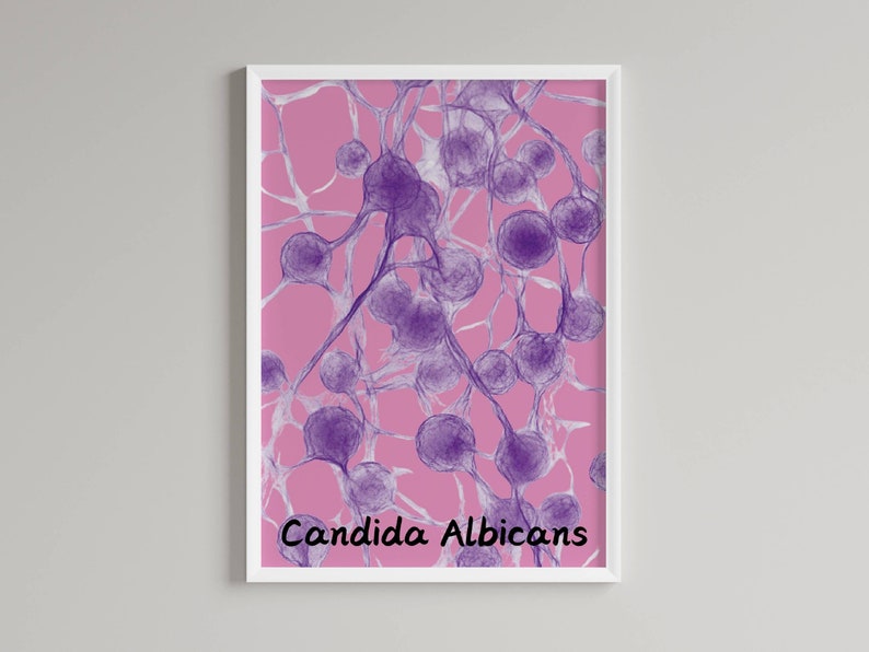 Candida Albicans Science Art Print Immunology Art Office Decor ...