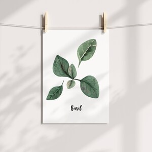 Herb Prints Kitchen Herbs Kitchen Wall Art Print Set of 6 Herb ...