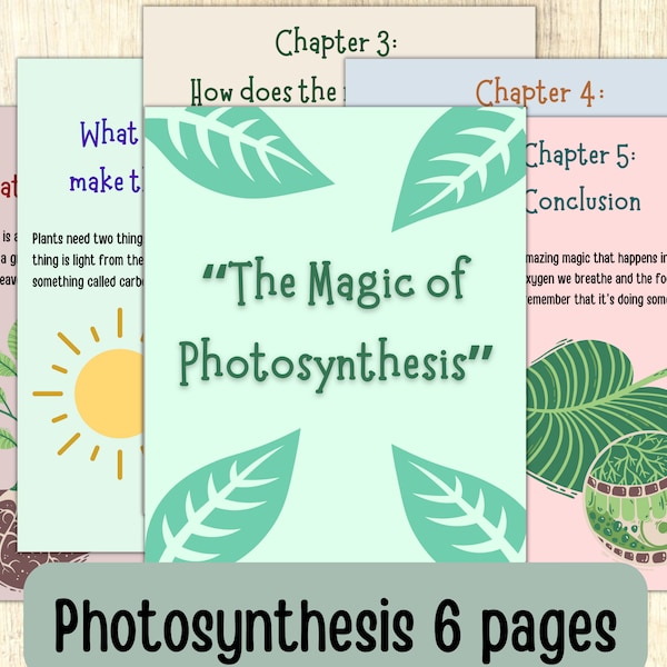 Photosynthesis Poster - Etsy