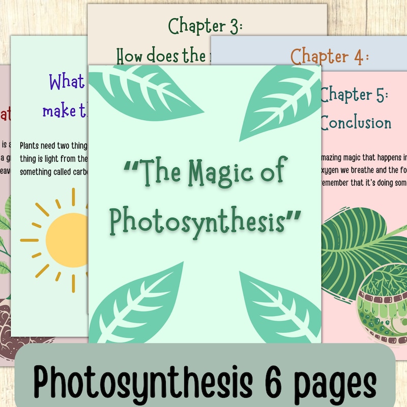Photosynthesis Poster - Etsy
